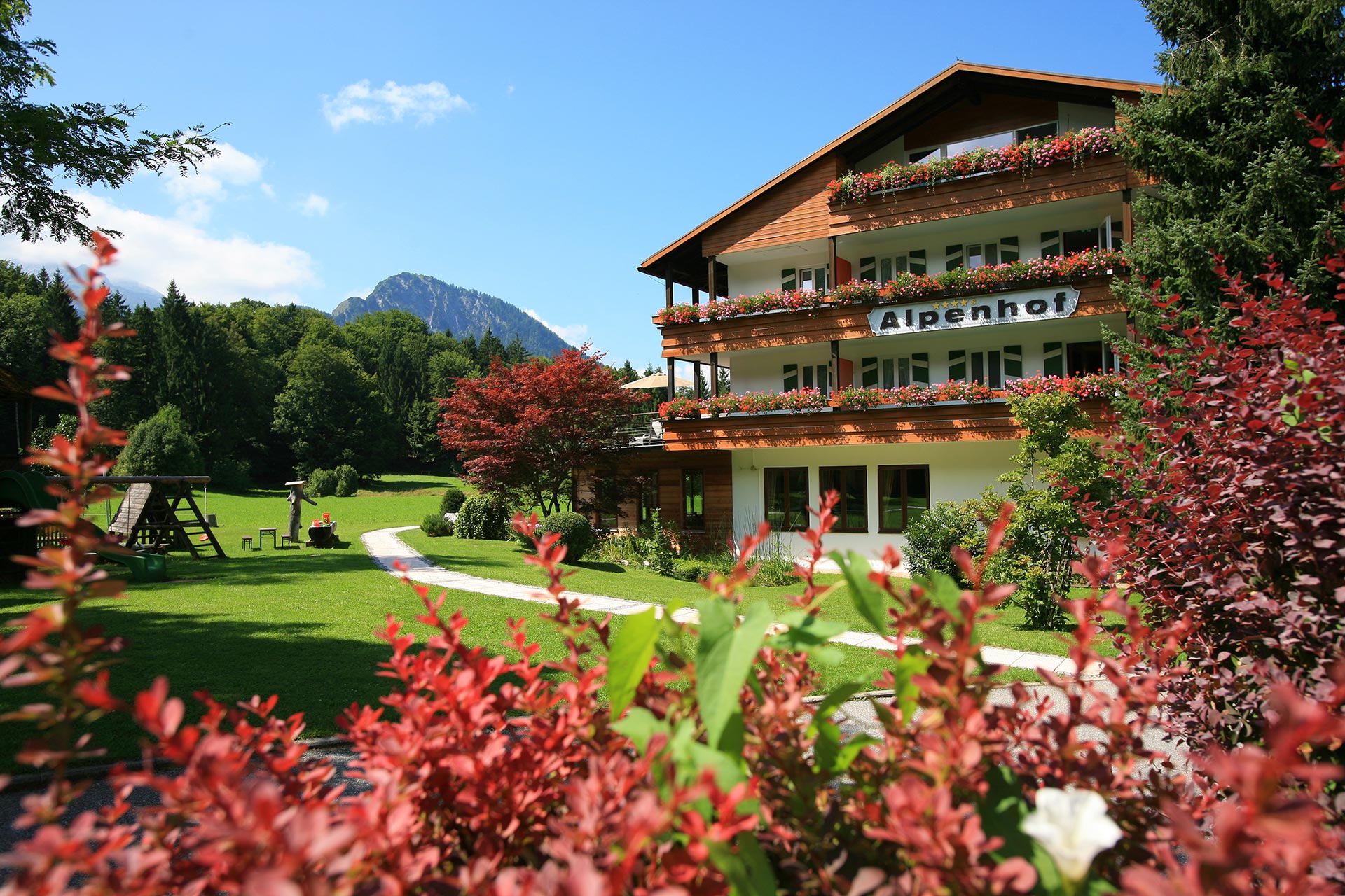 Gallery Alpenhof - Hotel Alpenhof
